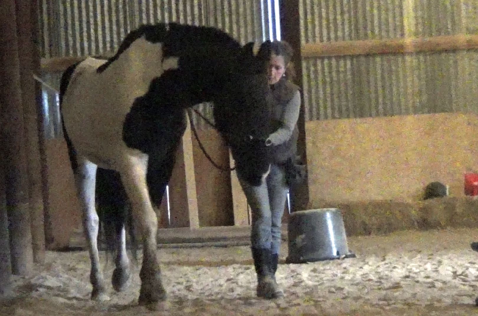 Hocus Pocus: a new body organization on the longe and in-hand – Spellbound